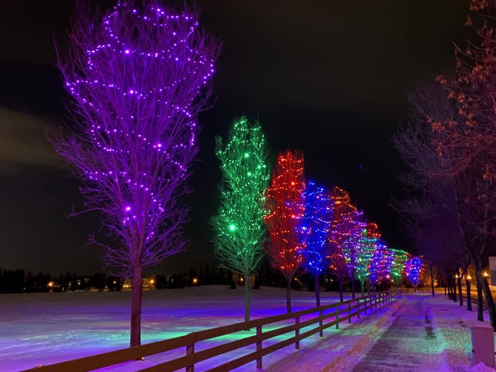 Festival Lighting - Five Star Holiday Décor