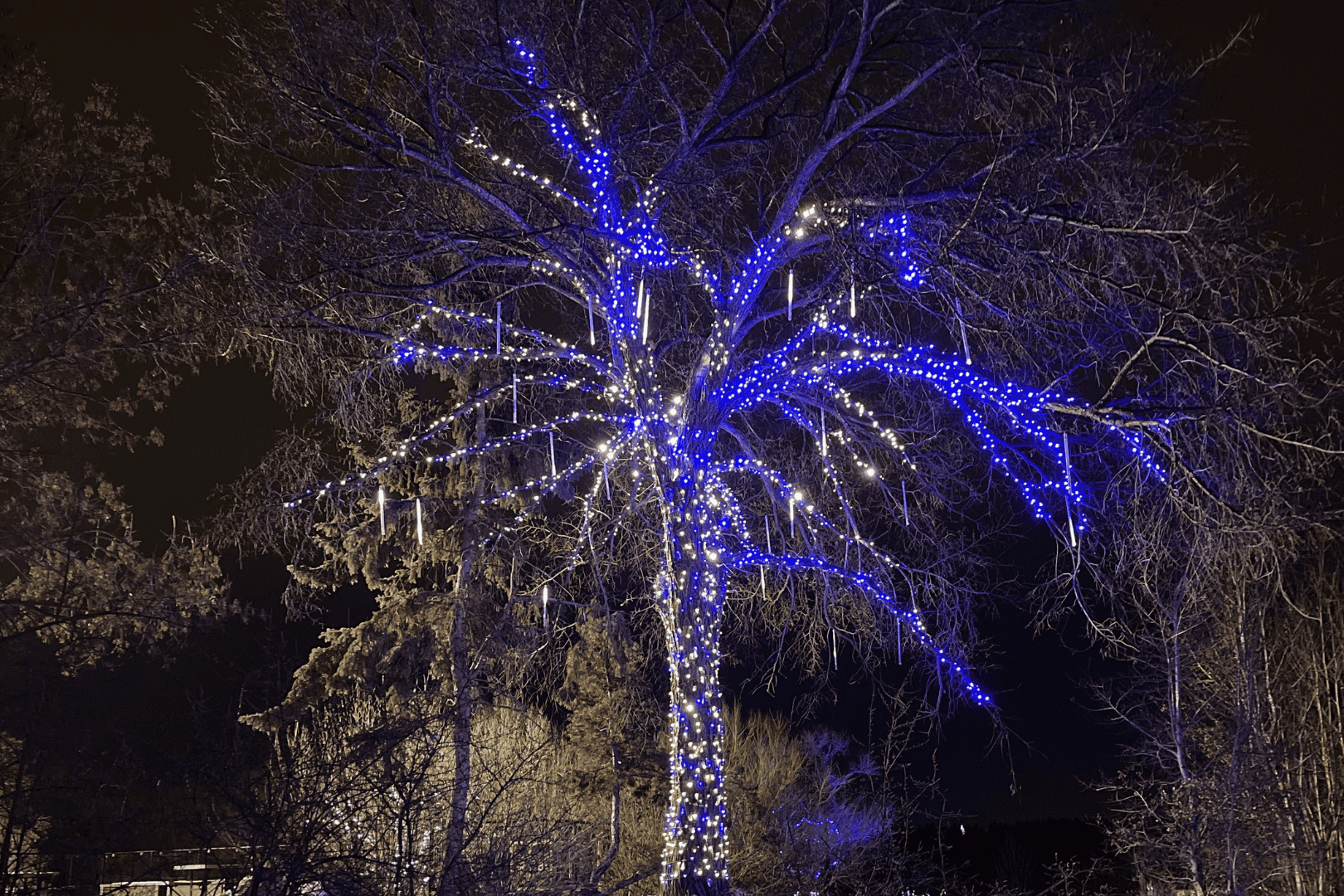 Take Your Holiday Decor to the Next Level with These 10 Ideas