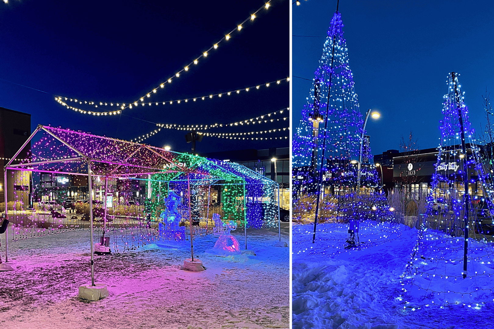 Where to see Christmas Lights in Edmonton: 2023 Edition